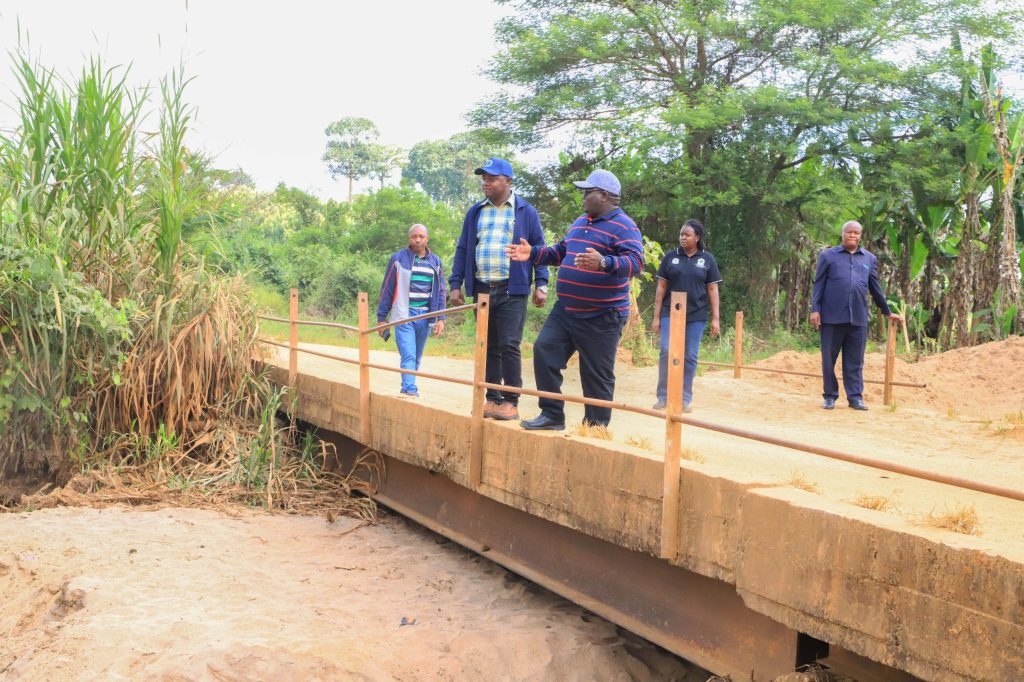 KASEKENYA AIPA TANROADS WIKI MOJA MALINYI KUFIKIKA - New Times Tanzania